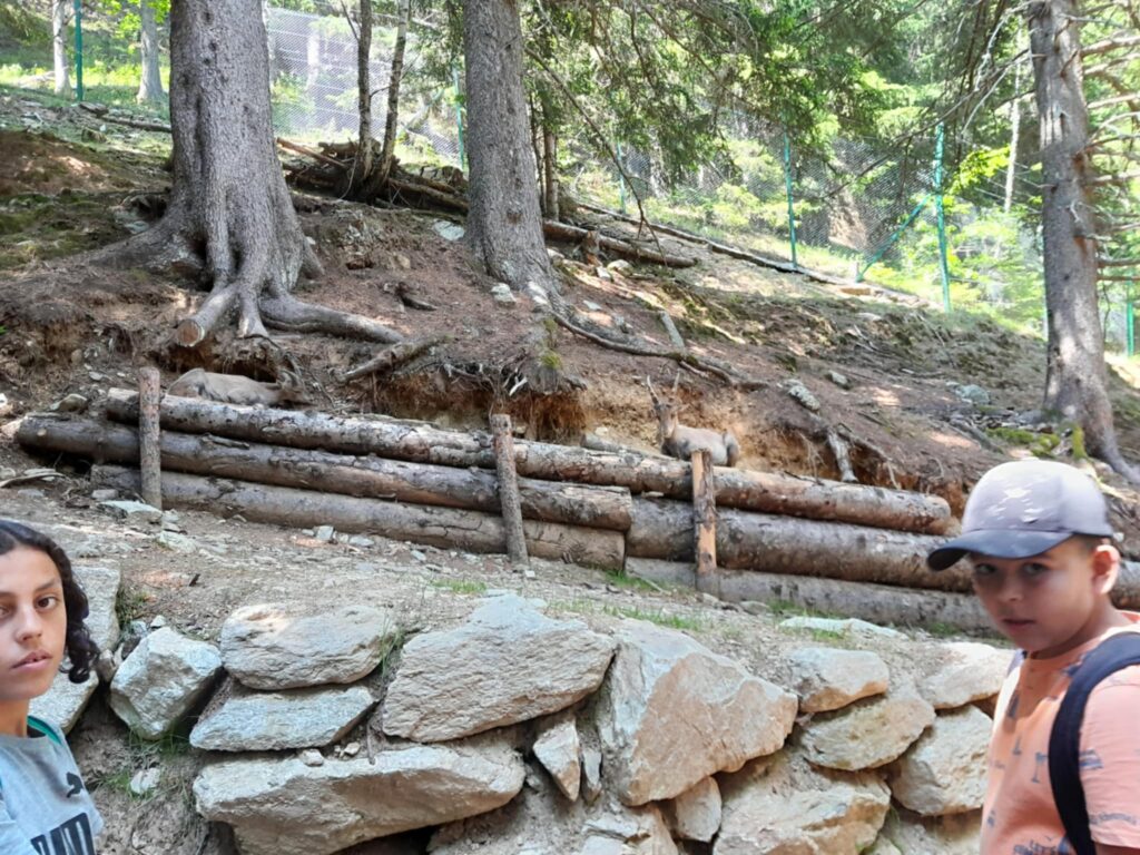 La 6ème Eco-Sciences en mini-séjour à Servoz - ES2C